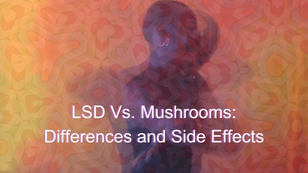 LSD vs. Mushrooms: Key Differences and Side Effects